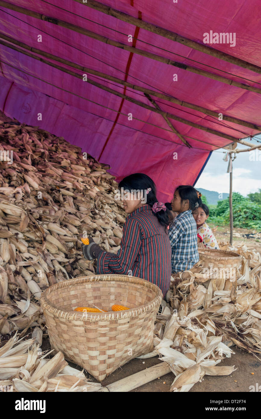 Mound of corn hi-res stock photography and images - Alamy