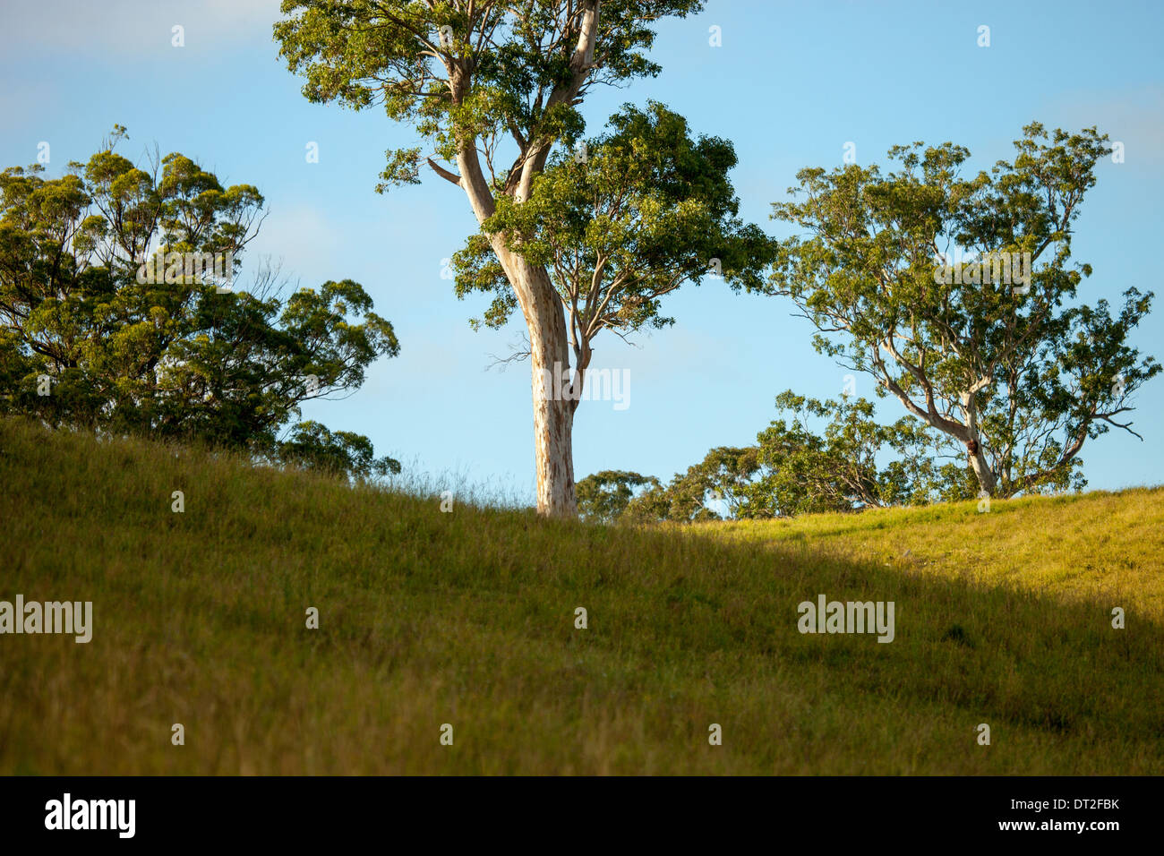 Australia Sydney and the Outback Stock Photo - Alamy