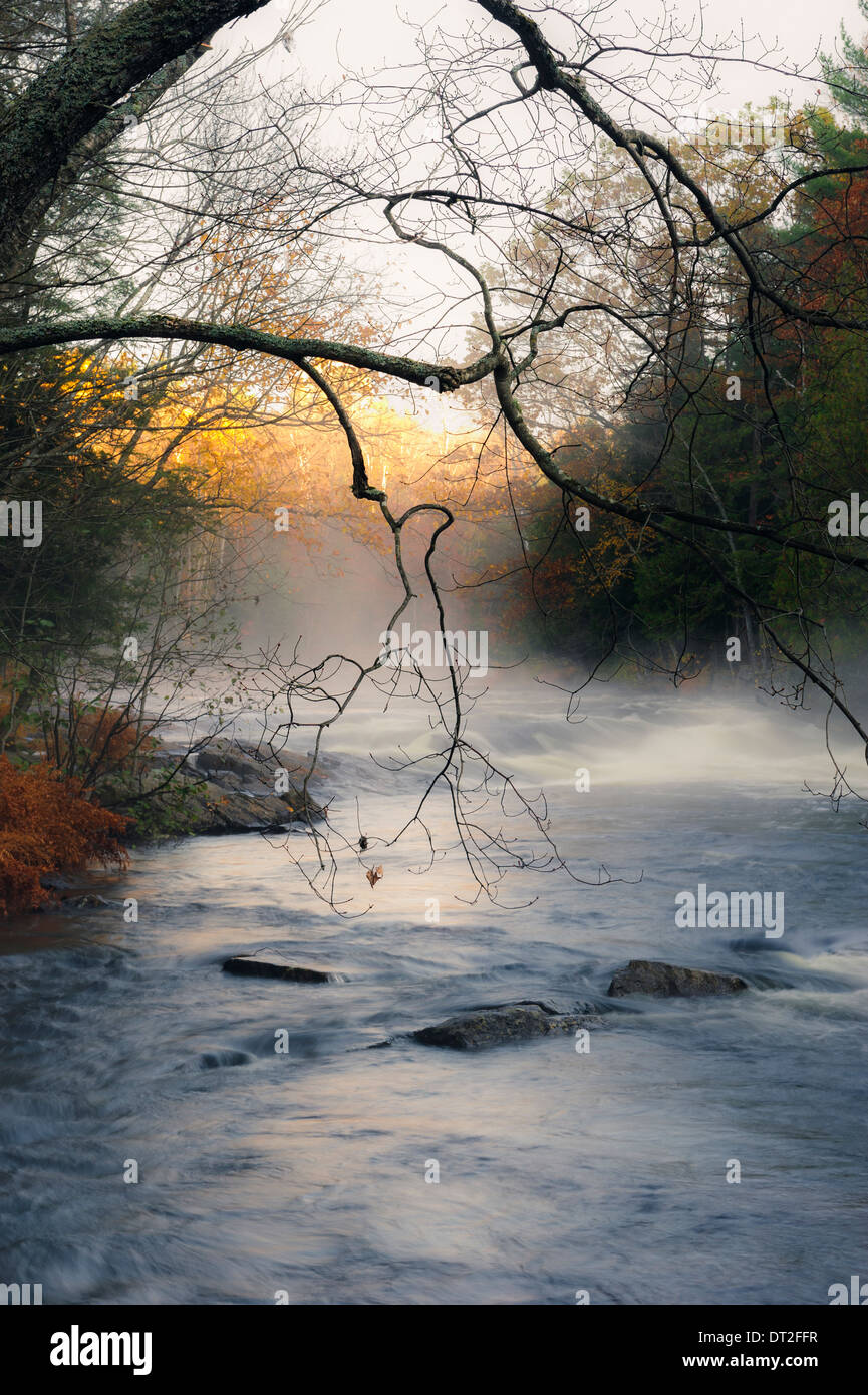 Rapid currents in the fall Stock Photo - Alamy