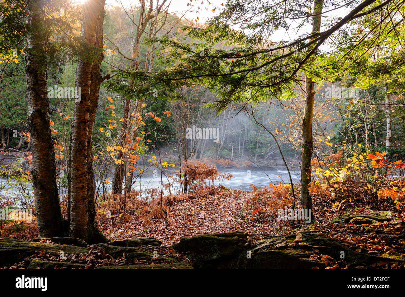 Fall colours at Oxtongue Rapids in Muskoka Stock Photo - Alamy