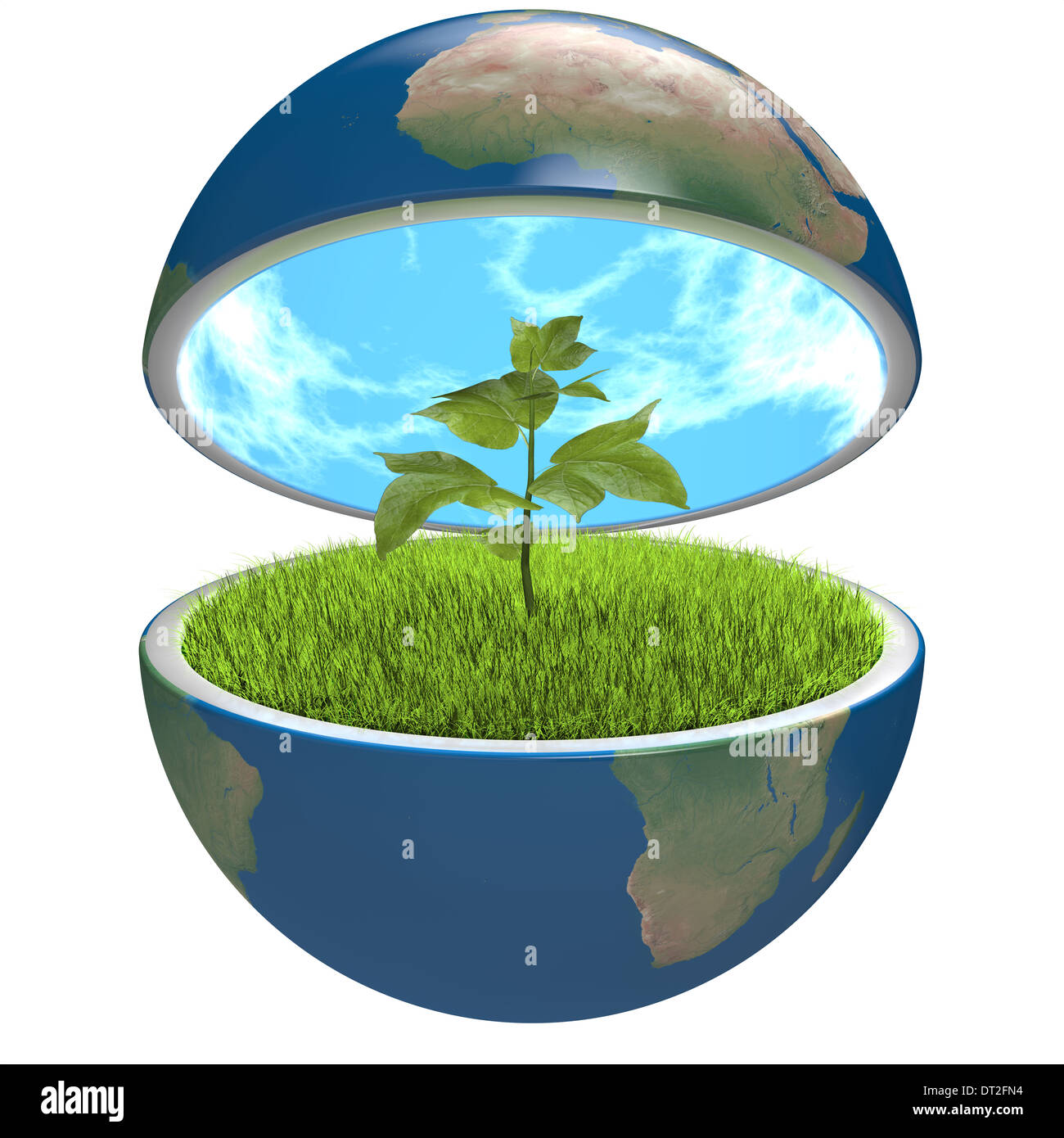Small plant growing inside opened planet Earth, isolated on white ...