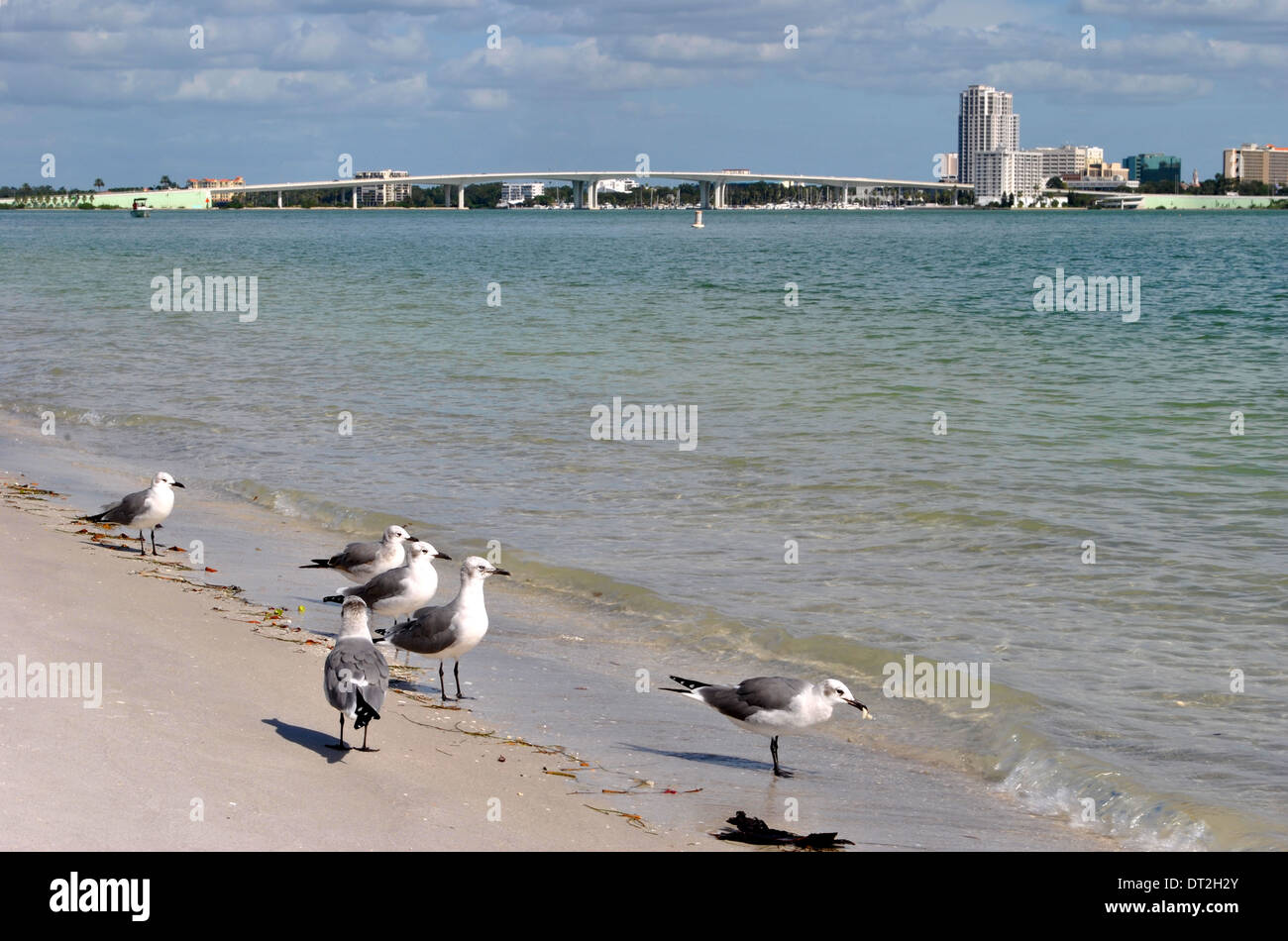 Sand Key in Florida Stock Photo - Alamy