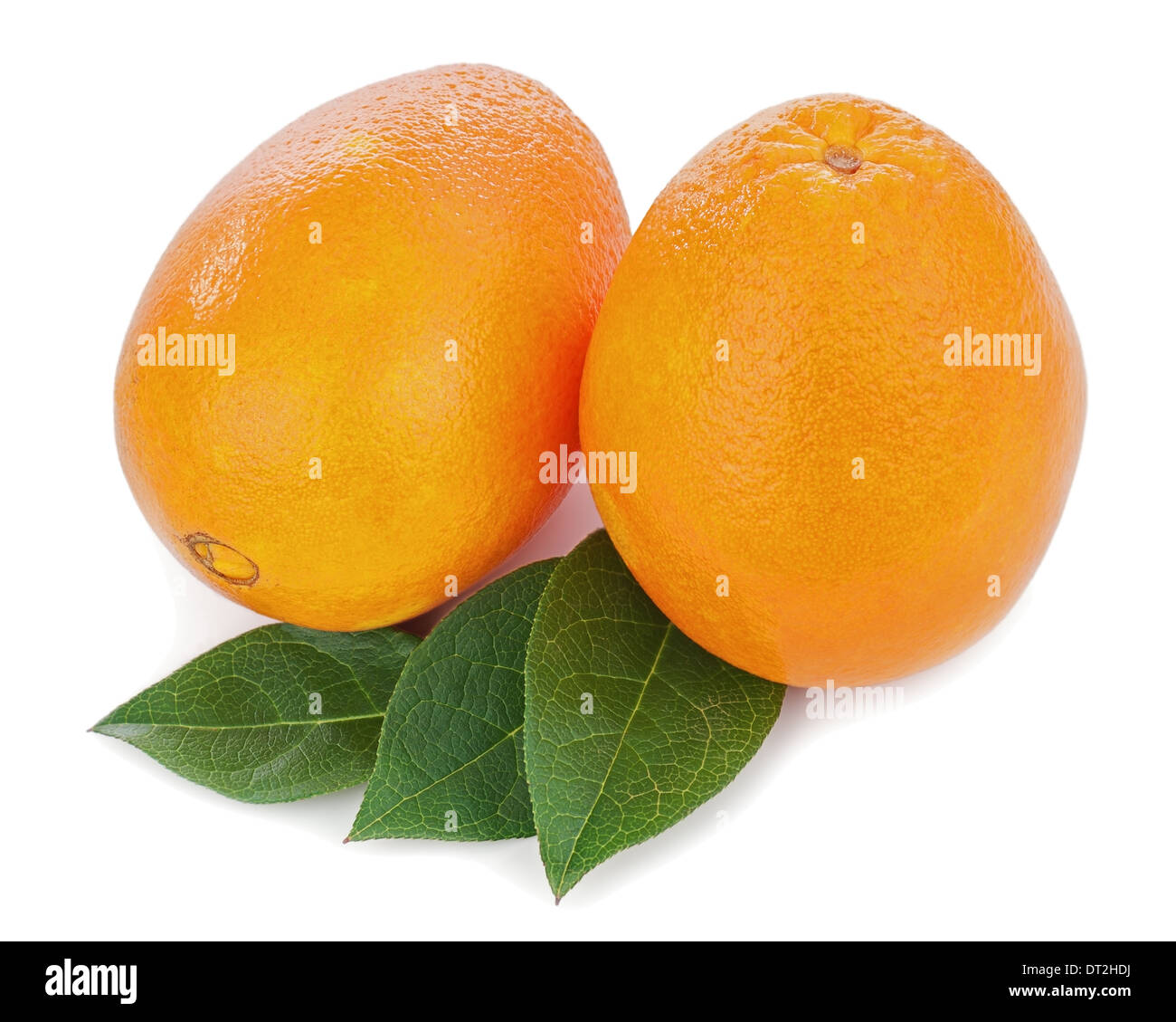 Orange fruits with green leaves isolated on white background. Closeup ...