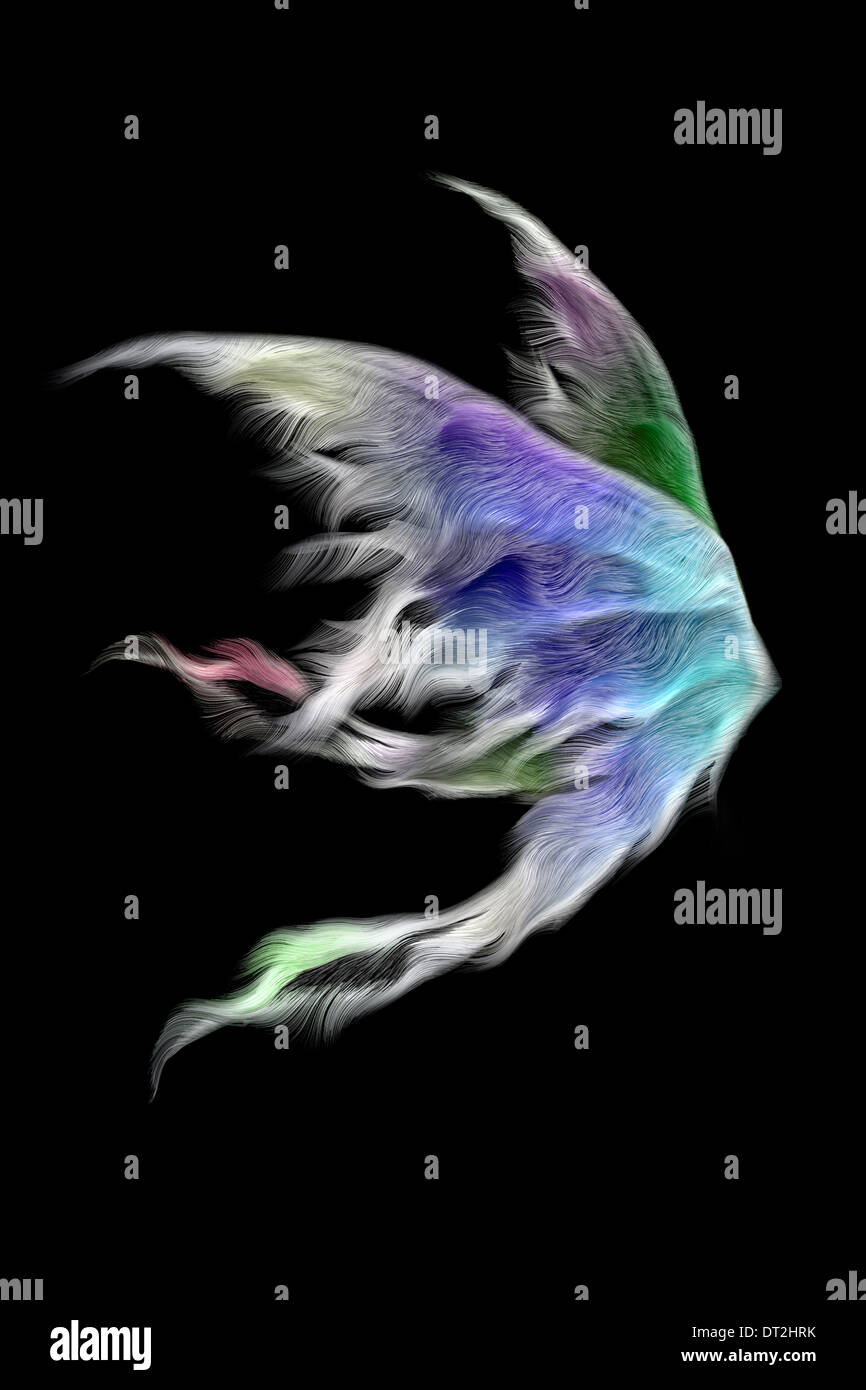 Fluffy angel wings hi-res stock photography and images - Alamy