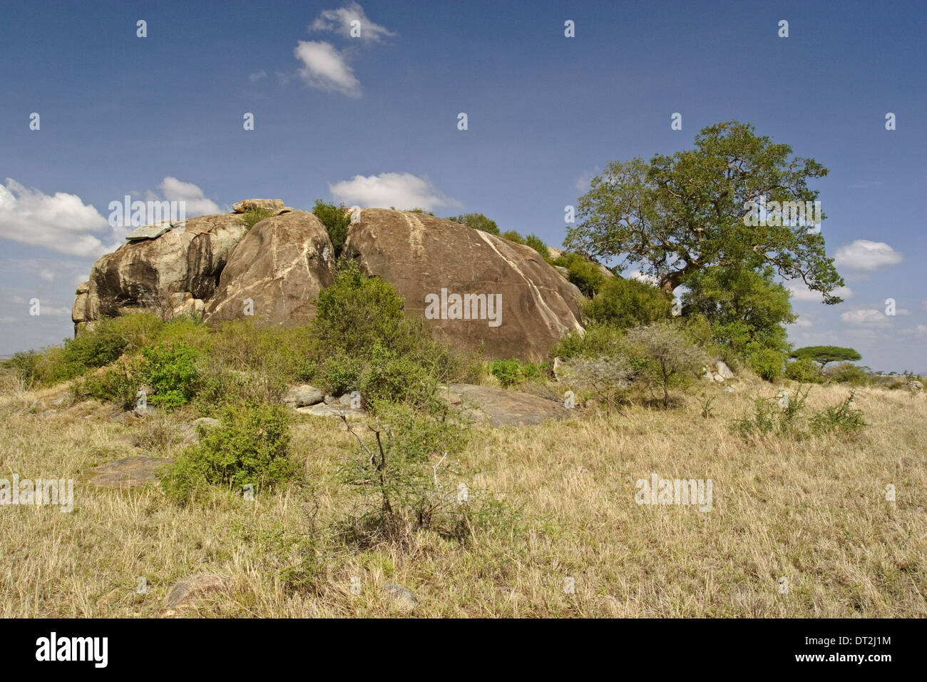Formation granite known kopje serengeti hi-res stock photography and ...