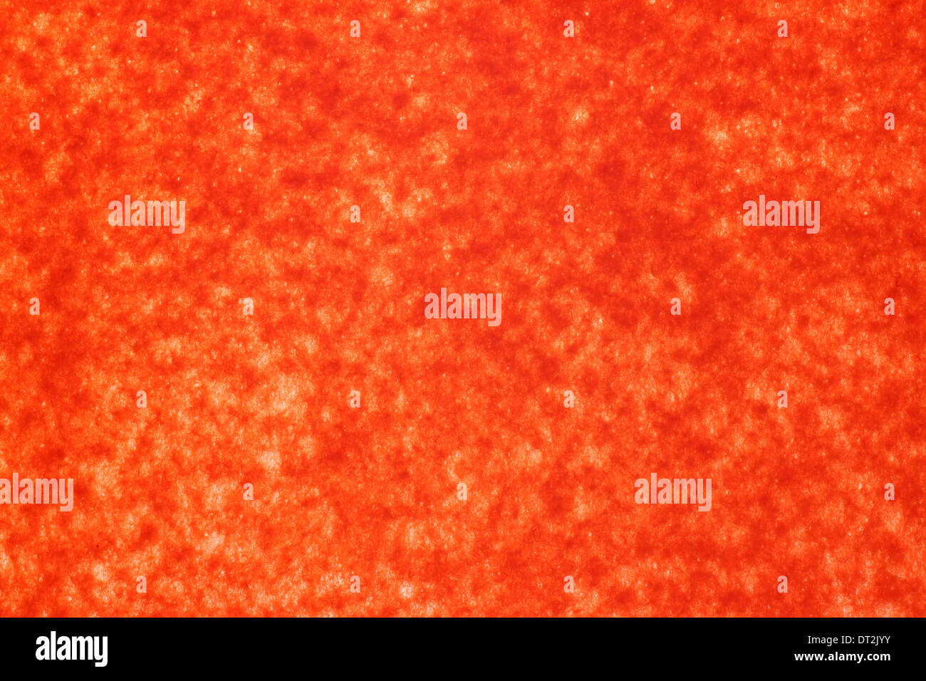 close up of red felt sheet Stock Photo - Alamy