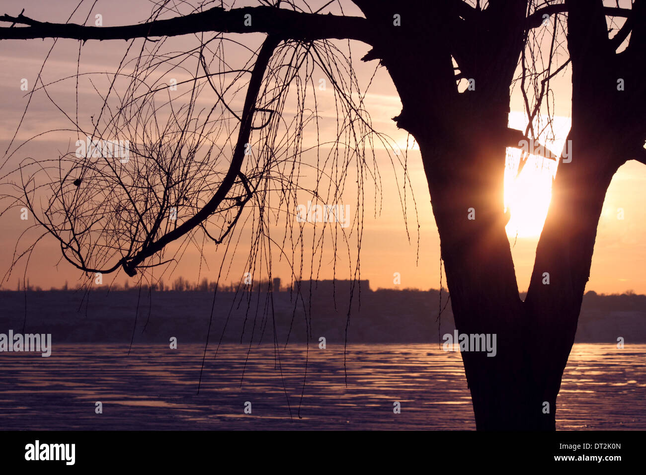 winter landscape with sun shining between branches of tree Stock Photo ...
