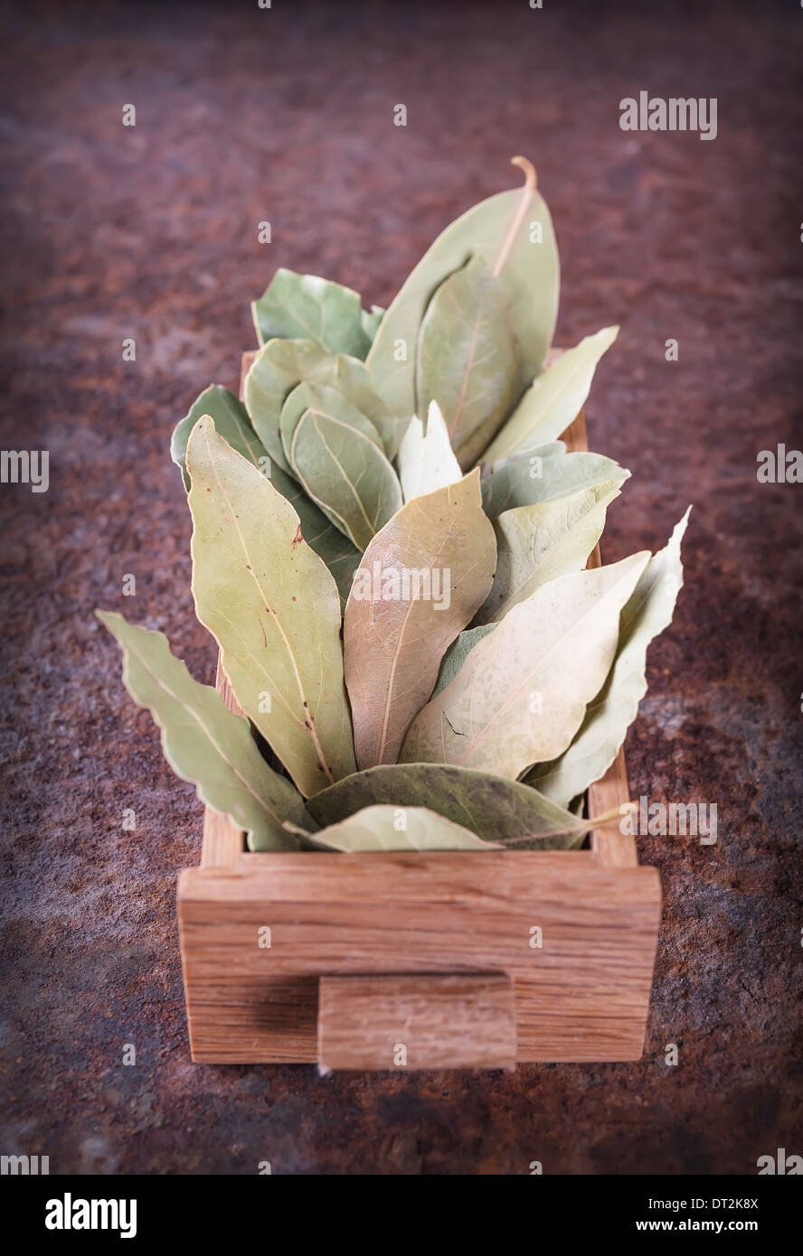 Aromatic bay leaf hi-res stock photography and images - Alamy