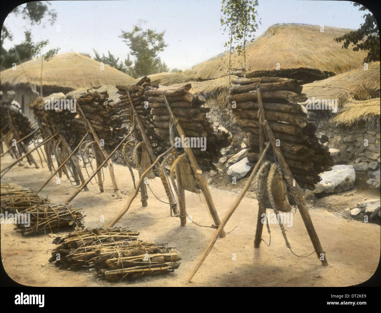 A photograph showing bundles of firewood, known as 'jiggies', ready for ...