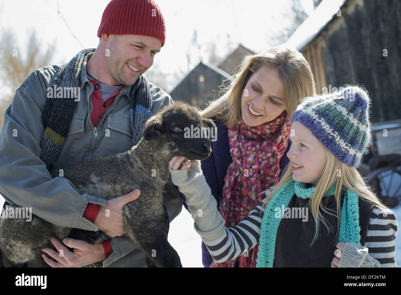 Child Lamb Animal High Resolution Stock Photography and Images - Alamy