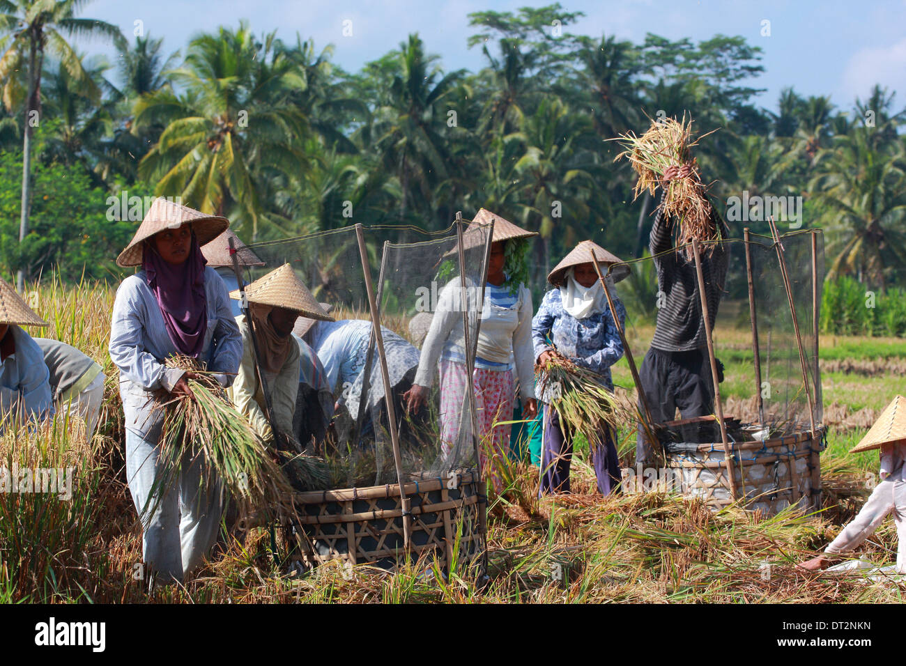 Bali tradition hi-res stock photography and images - Alamy
