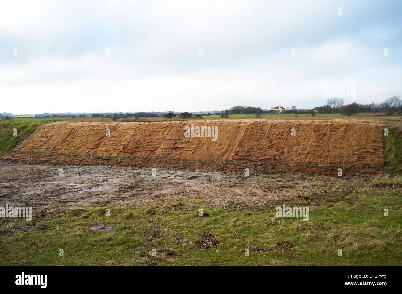 Sea wall repair after the North Sea tidal surge of December 2013 Stock ...