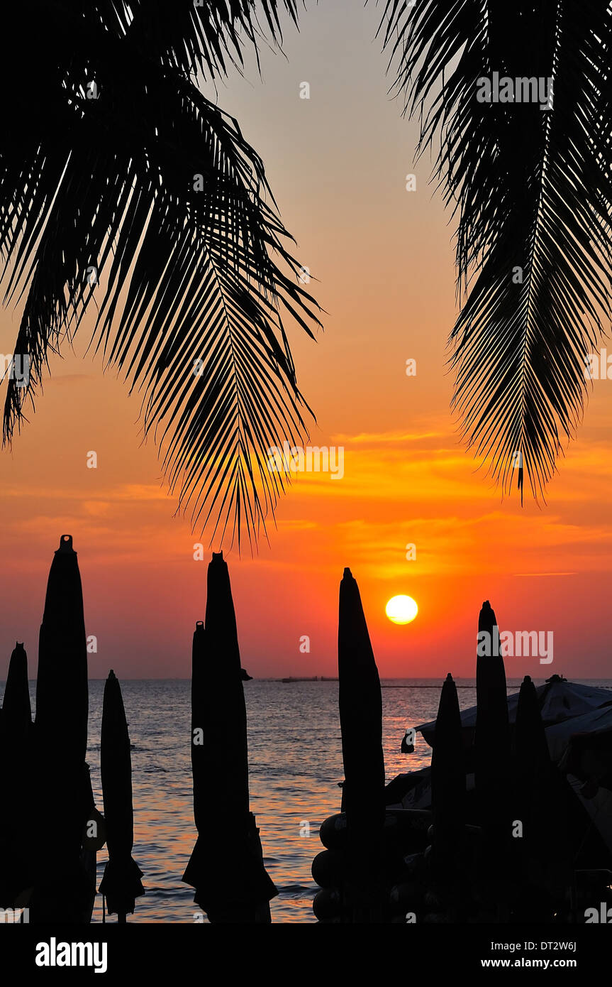 Palm trees silhouette at sunset Stock Photo - Alamy