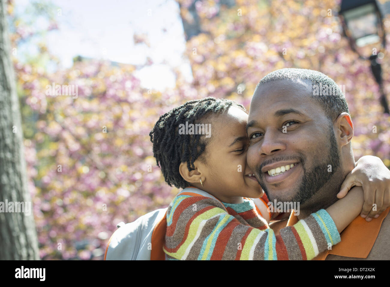 Sunshine and cherry blossom A father and son in the park hugging Stock ...
