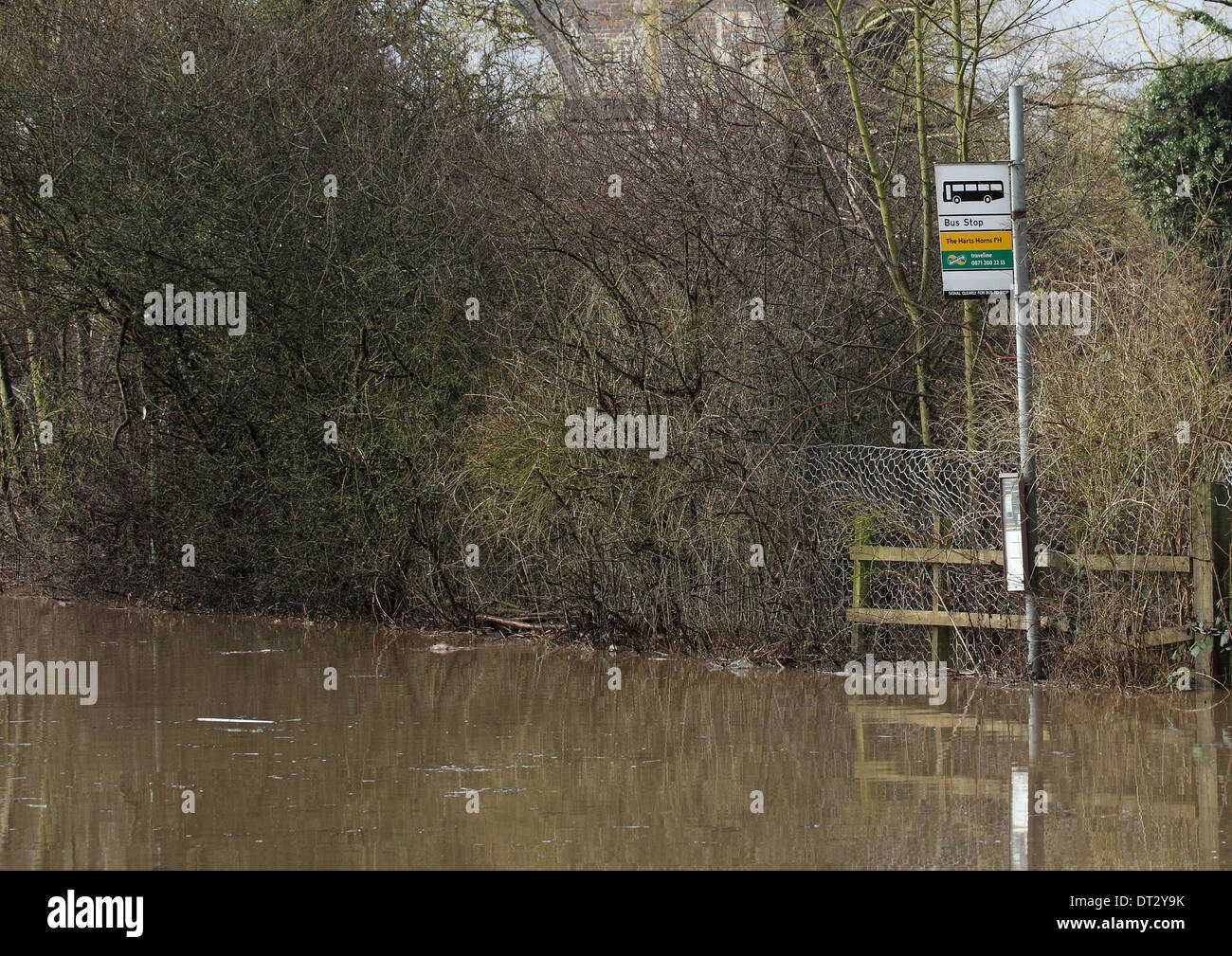 River lea river bus hi-res stock photography and images - Alamy