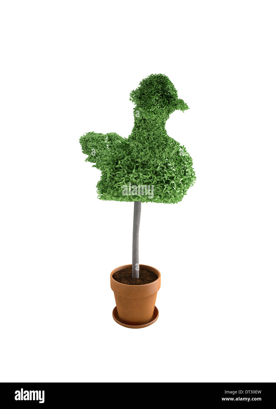 Bird Shaped Bush In Terracotta Plant Pot Stock Photo - Alamy