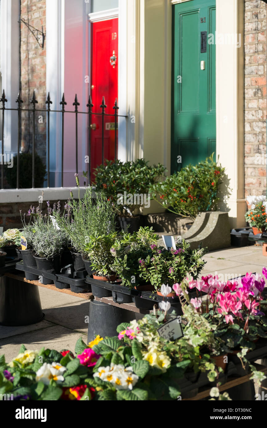 Doorsteps hi-res stock photography and images - Alamy