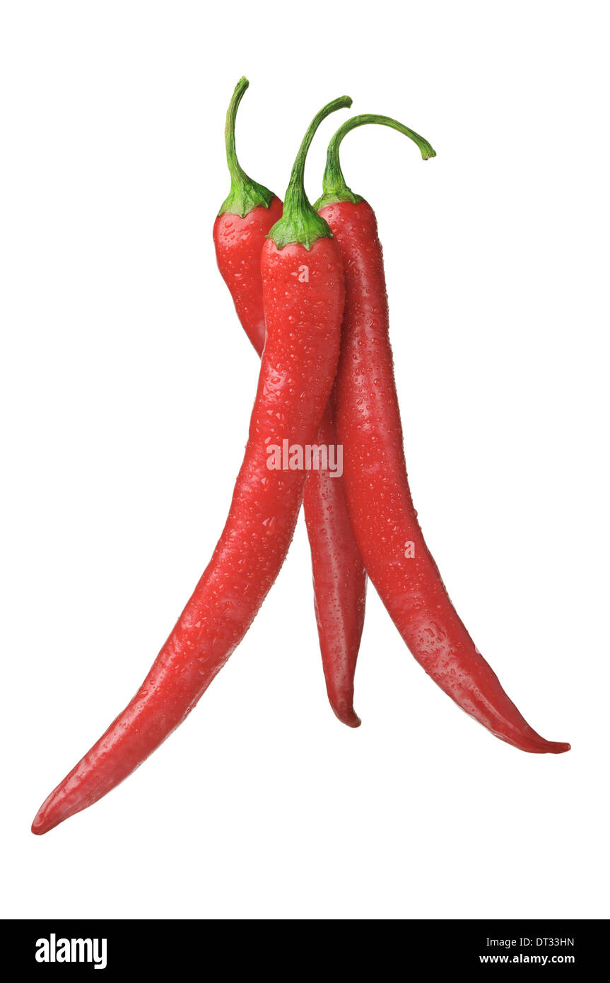 Three red chilly peppers isolated on a white background Stock Photo - Alamy