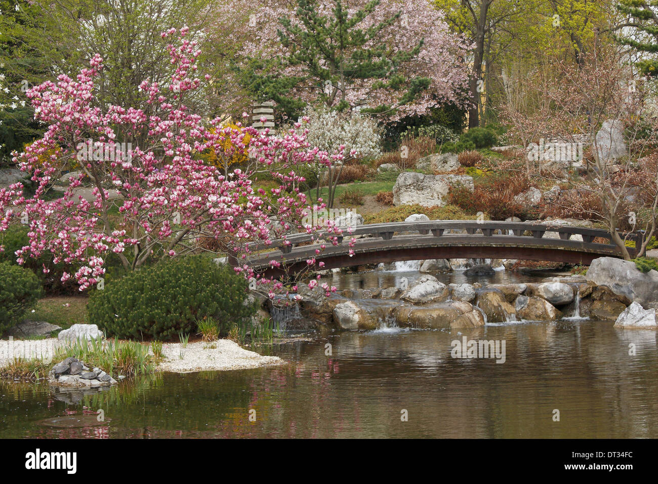 spring in the Japanese park Stock Photo - Alamy