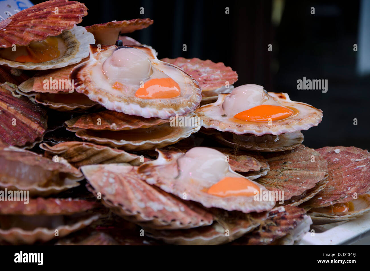 Fresh live scallops on display on market in Paris, France Stock Photo ...