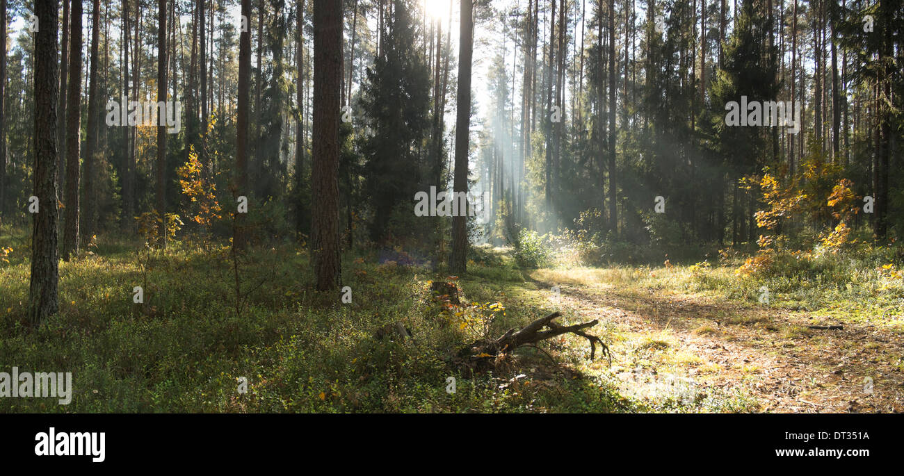 Lovely sun ray hi-res stock photography and images - Alamy