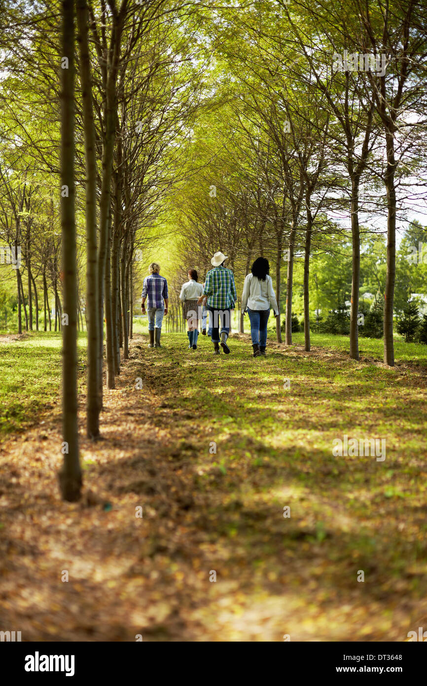 A group of friends walking down an avenue of trees in woodland Stock ...