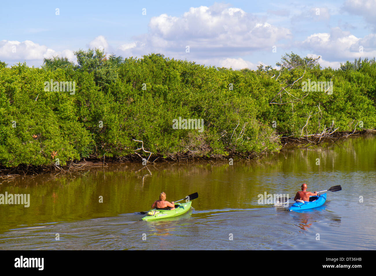 Florida Sanibel Barrier Island,J.N. JN Ding Darling National Wildlife ...