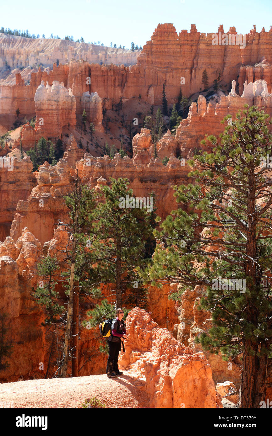 Sandstone erosion Bryce Canyon National Park Utah hoodoos Stock Photo ...