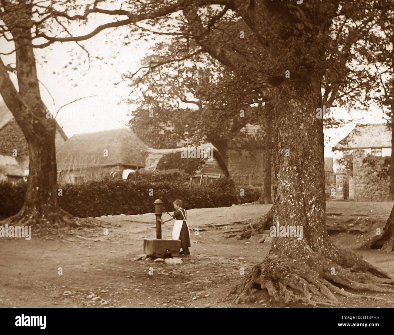 Manaton hi-res stock photography and images - Alamy