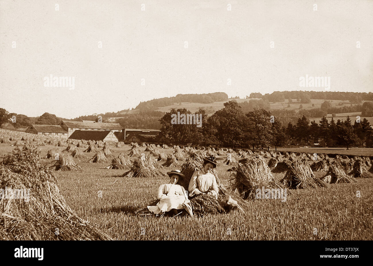 Farmers with the haymaking hi-res stock photography and images - Alamy