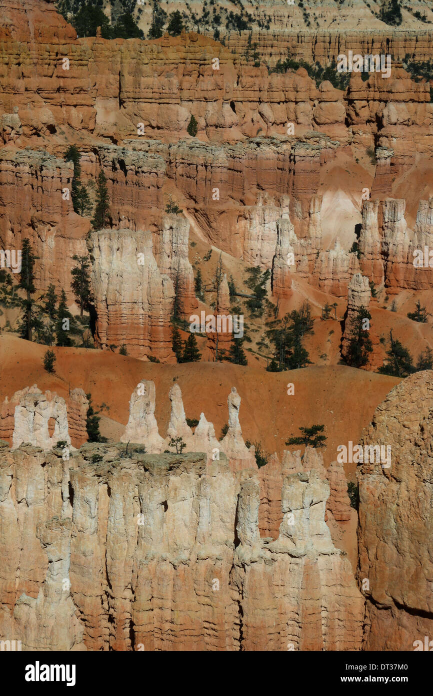 Sandstone erosion Bryce Canyon National Park Utah hoodoos Stock Photo ...