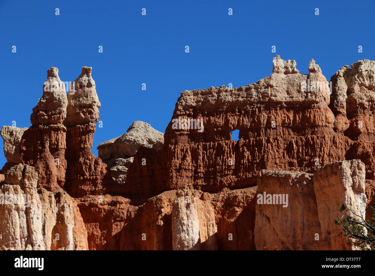 Sandstone erosion Bryce Canyon National Park Utah hoodoos Stock Photo ...