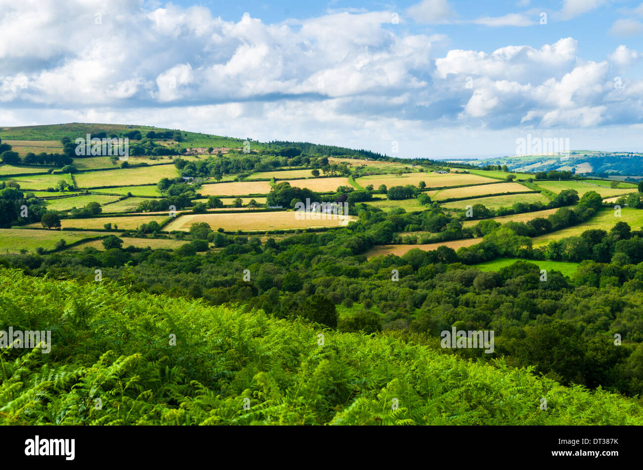 Dartmoor National Park landscape viewed north from Hayne Down near ...