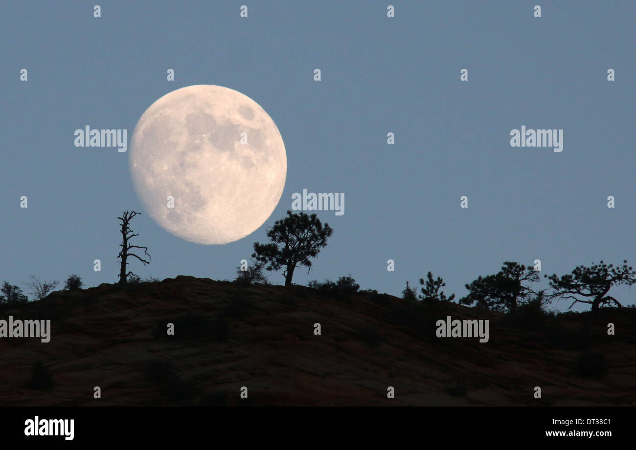 Moon and trees on mountain Zion National Park Utah sunset cliff rock ...