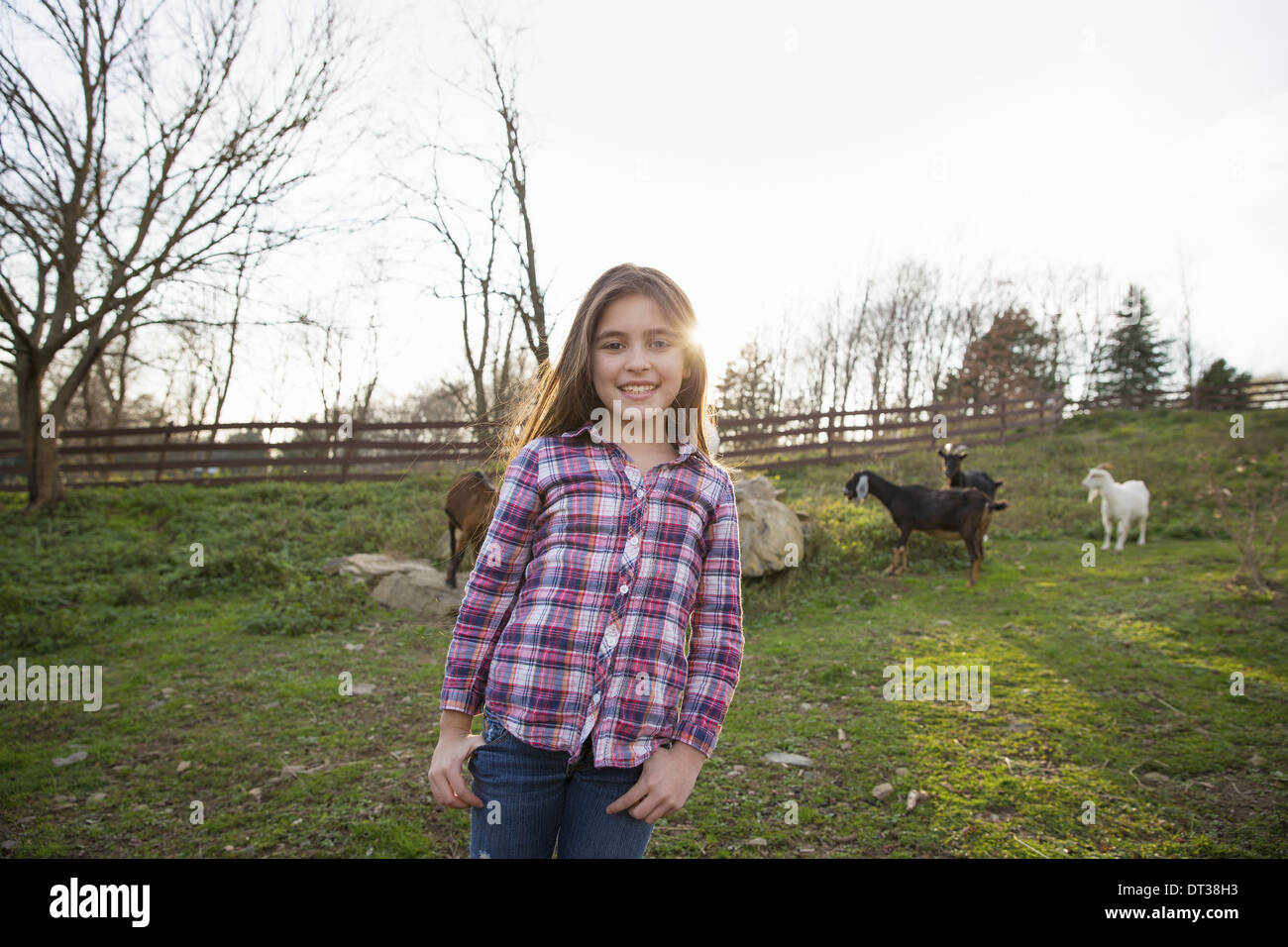 A child, a young girl in the goat paddock enclosure at an animal ...