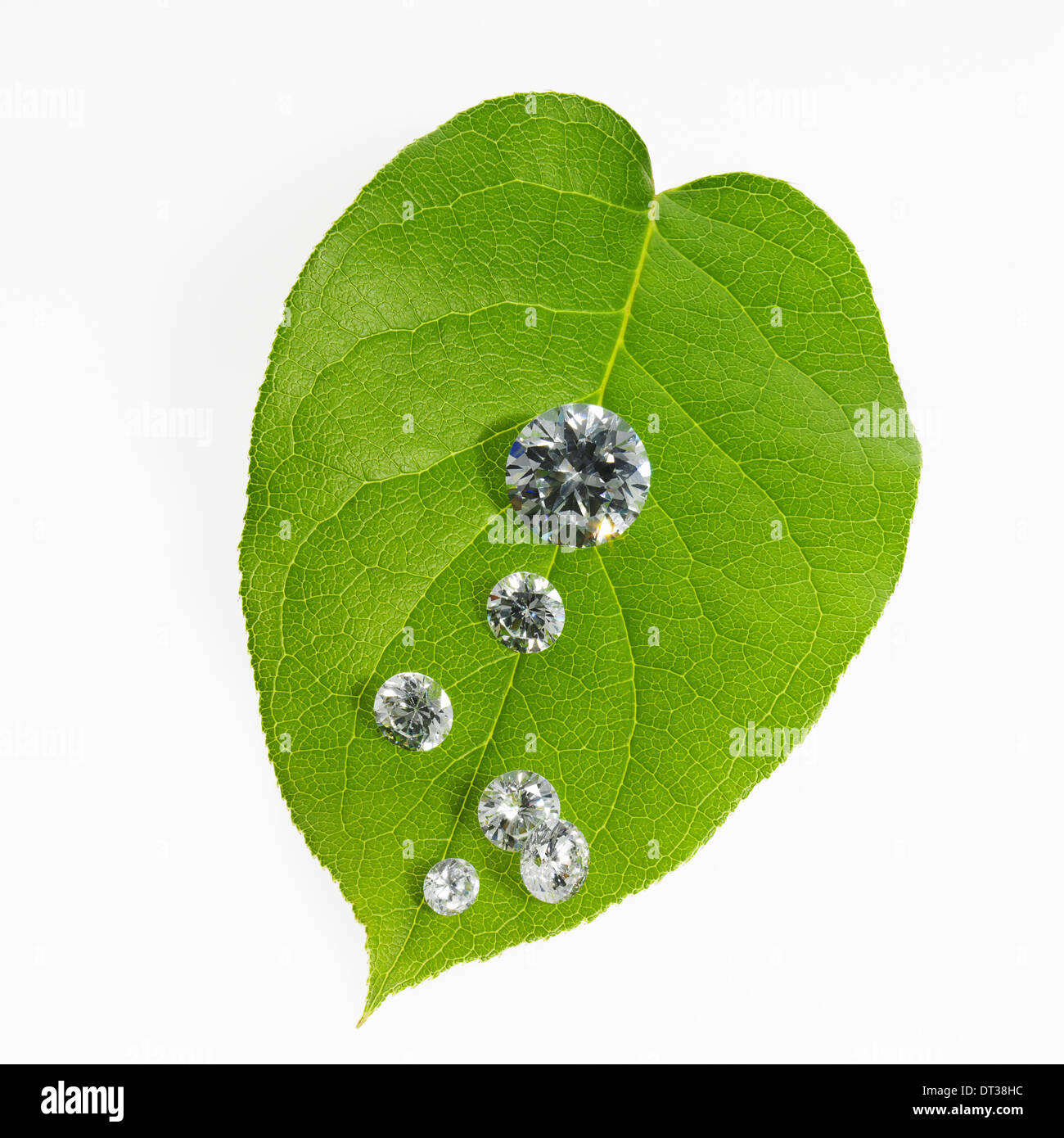 Small leaf pattern hi-res stock photography and images - Alamy