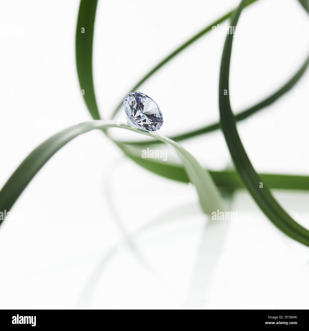 Thin strap green leaves or leaf strands with a small glass bead or gem ...