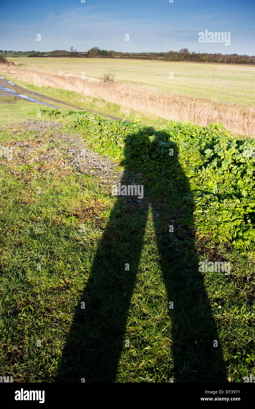 Shadow love couple in shade hi-res stock photography and images - Alamy