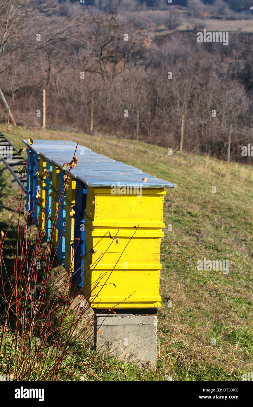 Nature hive hi-res stock photography and images - Alamy