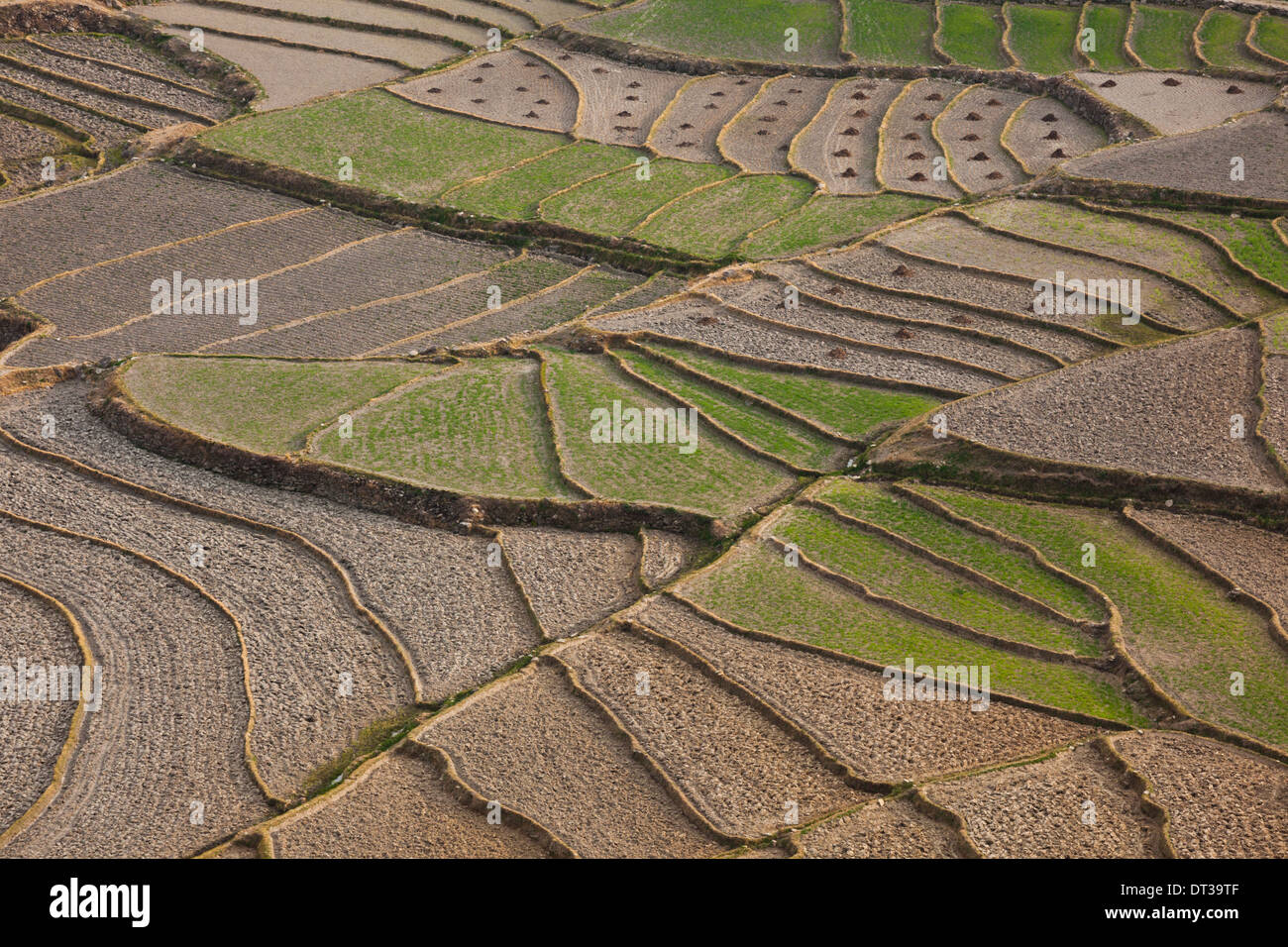 Bhutan Agriculture High Resolution Stock Photography and Images - Alamy