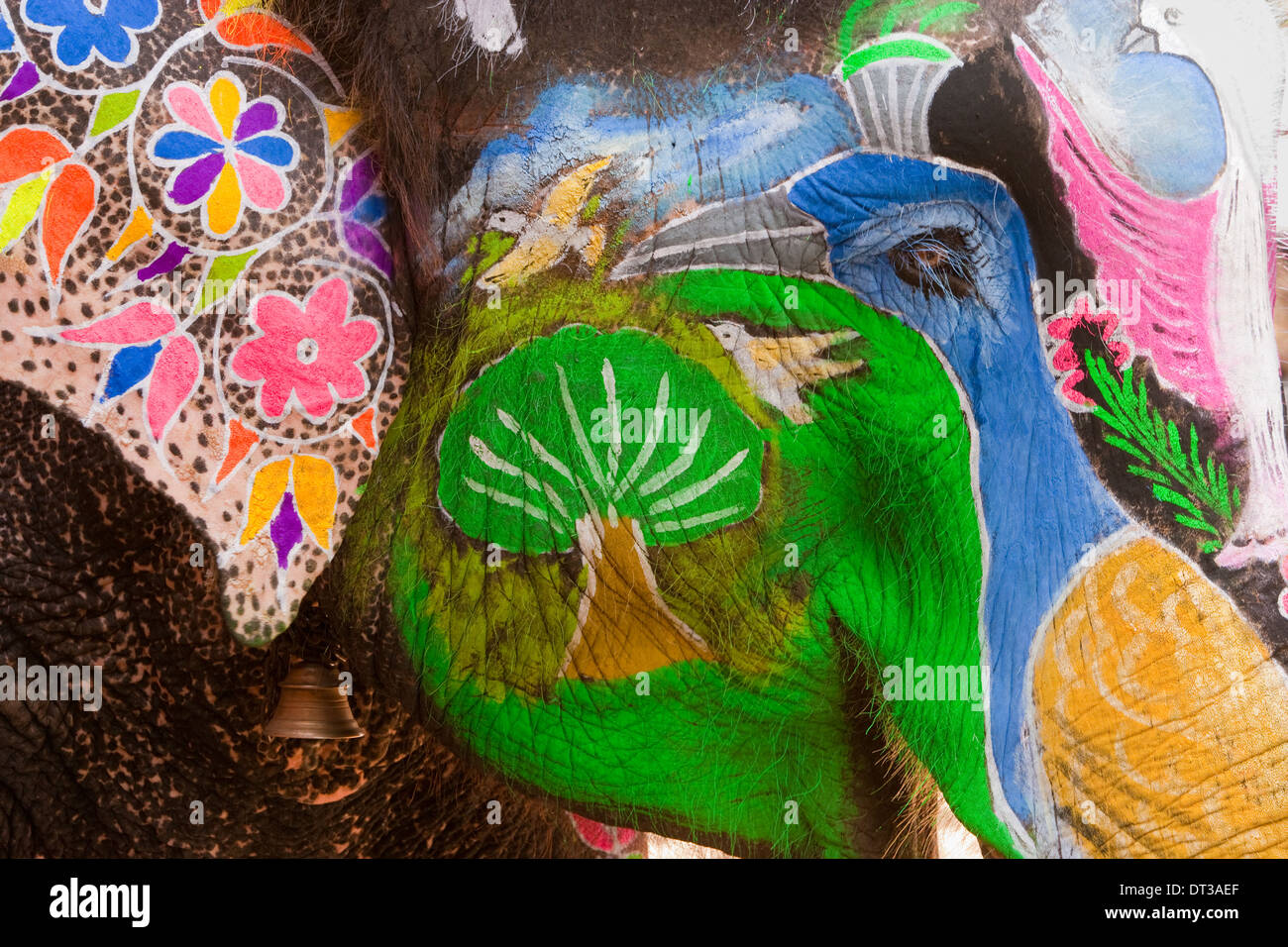 Painted elephants during Holi, the Hindu festival of colours, in Jaipur ...