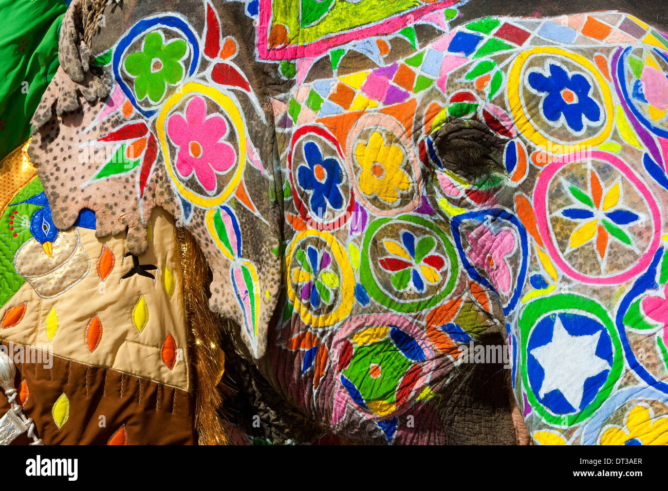 Painted elephants during Holi, the Hindu festival of colours, in Jaipur ...