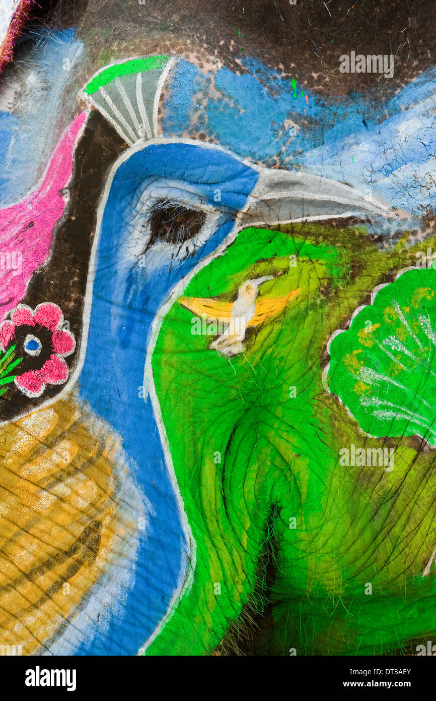 Painted elephants during Holi, the Hindu festival of colours, in Jaipur ...