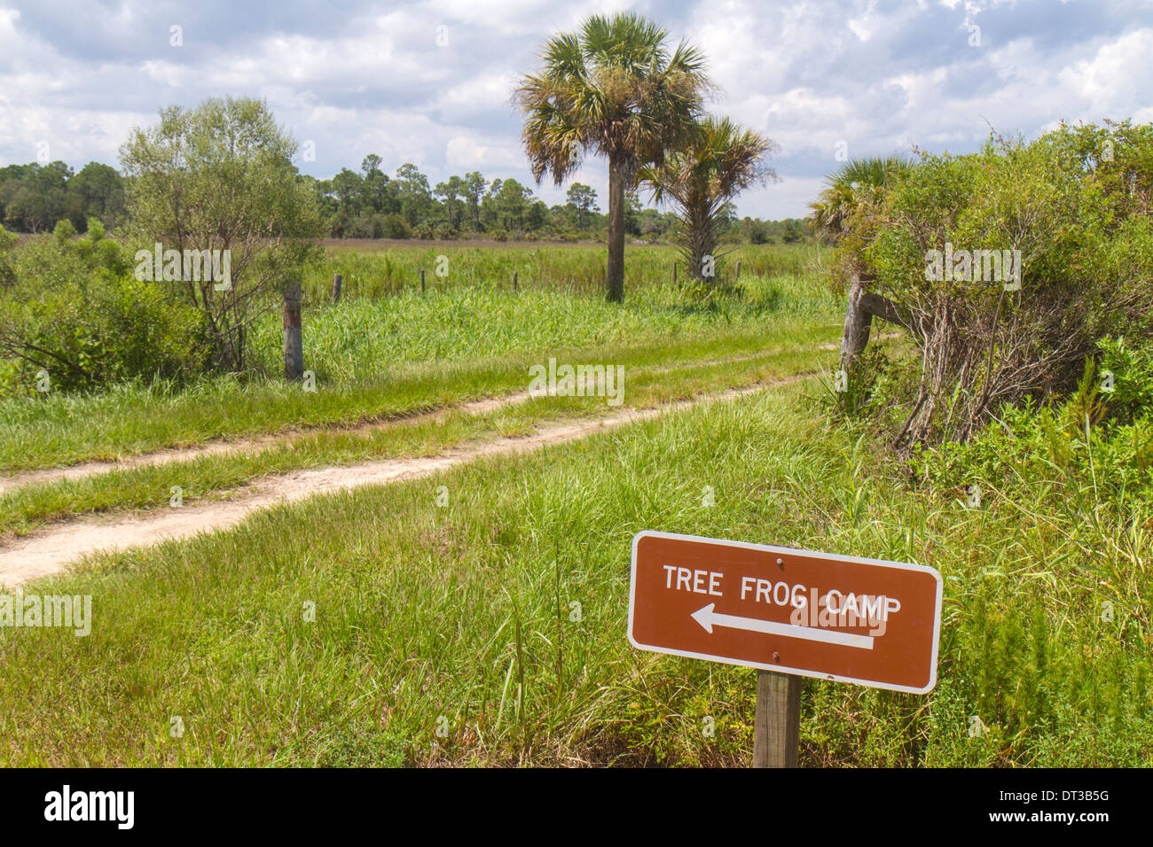 Sebastian Florida,St. Sebastian River water Preserve,state park,Tree ...