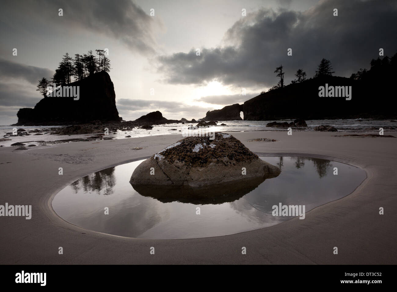 Second beach, Olympic National Park, Washington, USA Stock Photo - Alamy