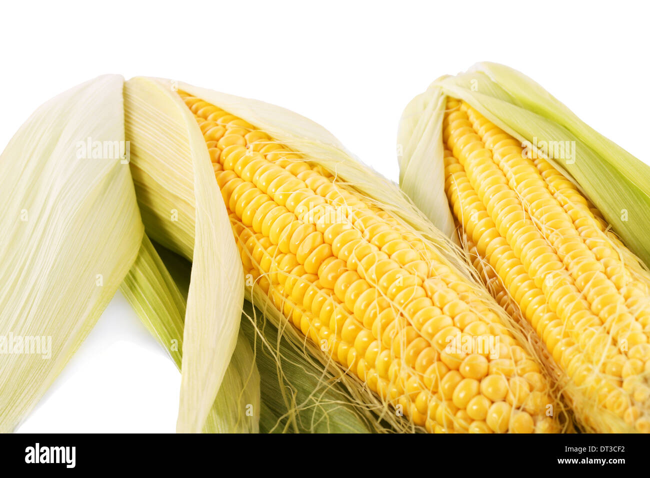 Ripe white corn cobs hi-res stock photography and images - Alamy