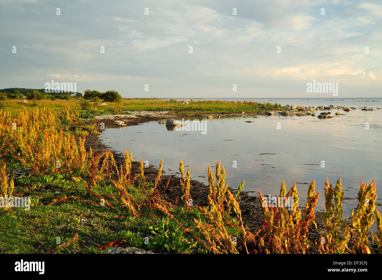 Sweden landscape hi-res stock photography and images - Alamy