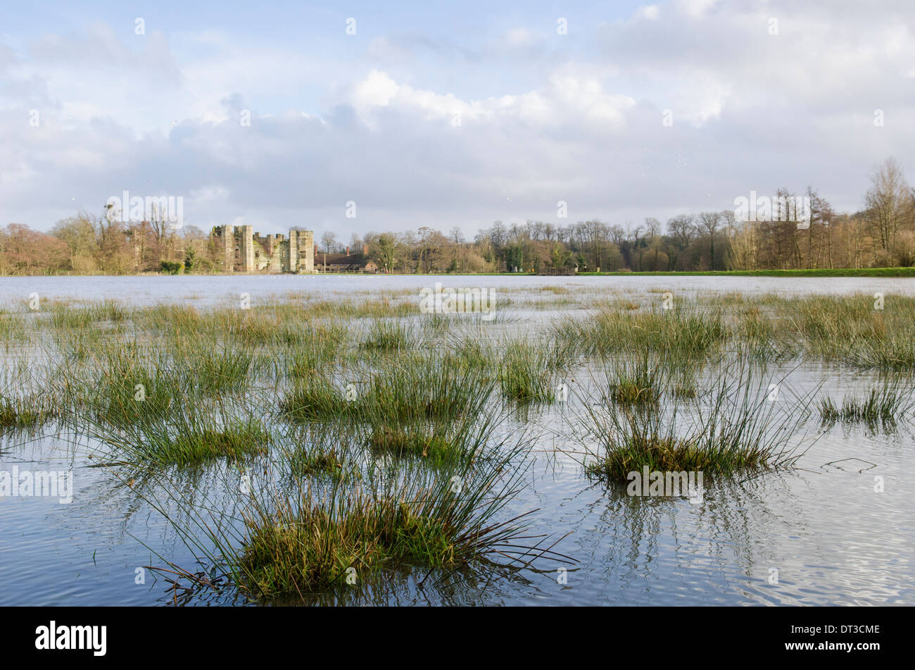 River rother cowdray hi-res stock photography and images - Alamy