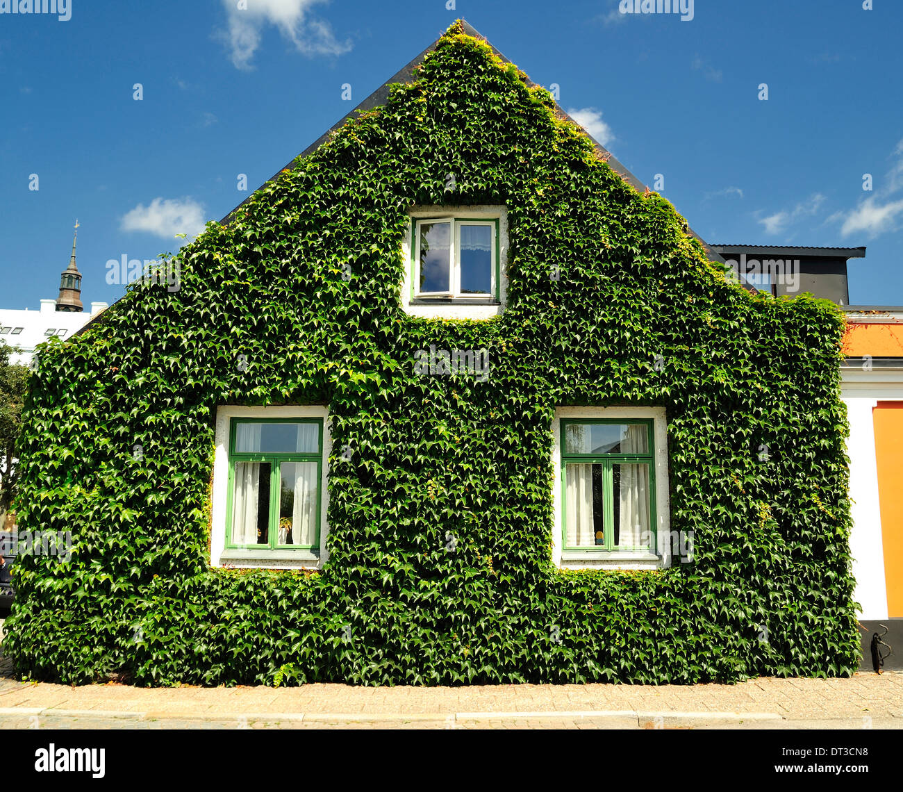 Old overgrowth house Stock Photo - Alamy