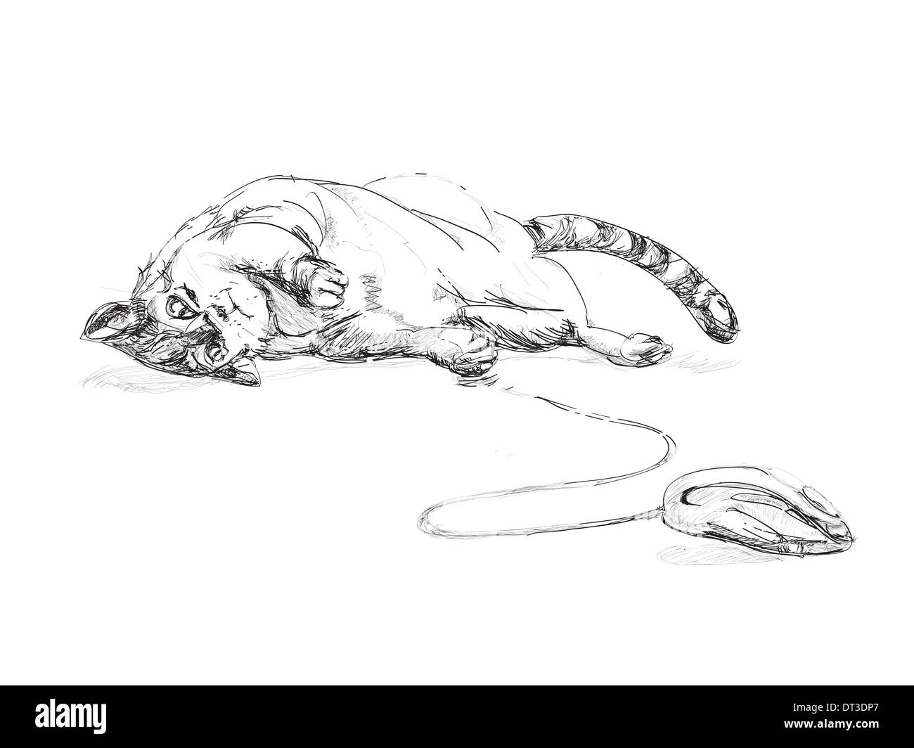 Cat mouse Black and White Stock Photos & Images - Alamy